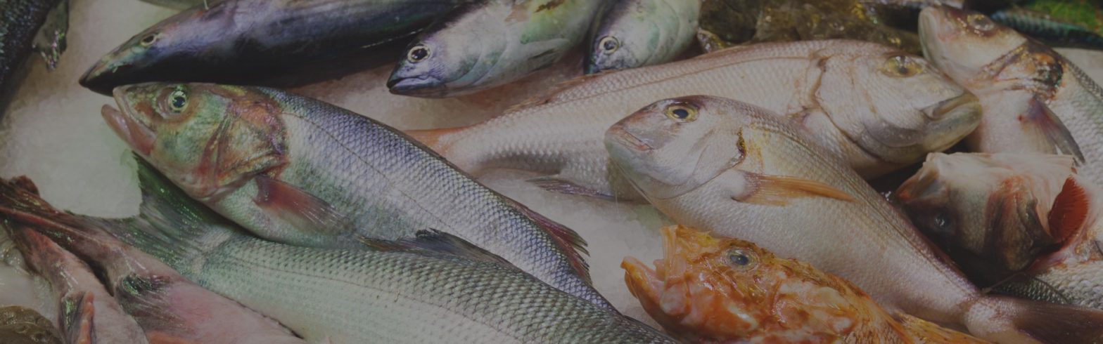 Fish – Smiley Foods and Stores